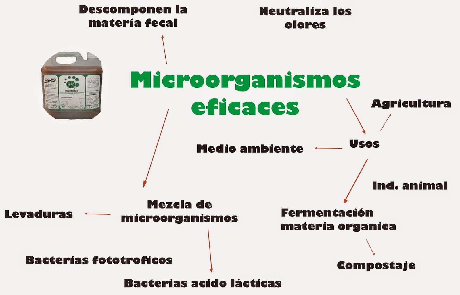 Permacultura, Autosuficiencia y Tecnología: Microorganismos Efectivos ...