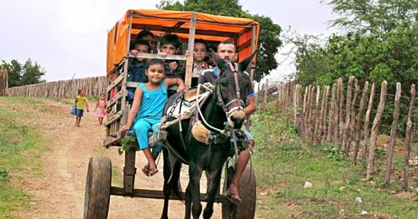 ESQUEMAS DE ESTUDOS: ÊXODO RURAL