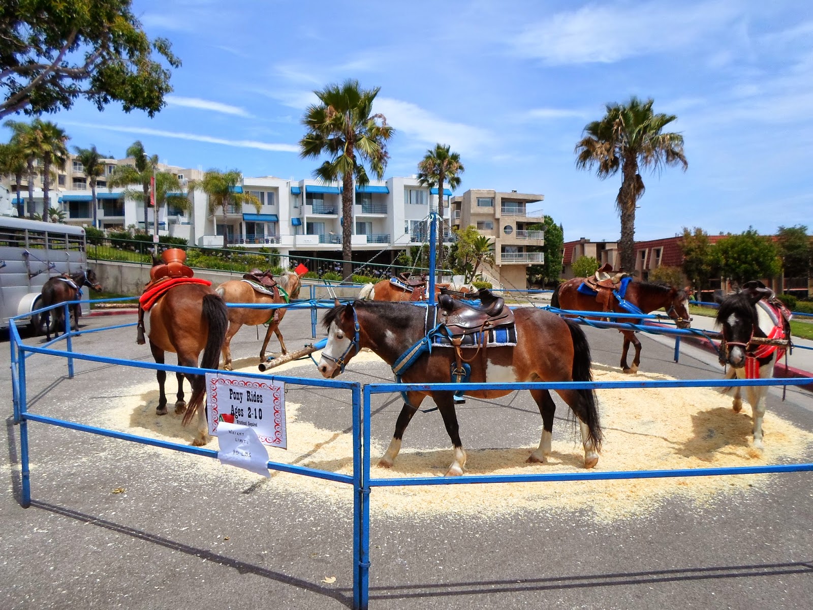 Becky's Pony Express - Pony Rides, Petting Zoo and Pony Parties