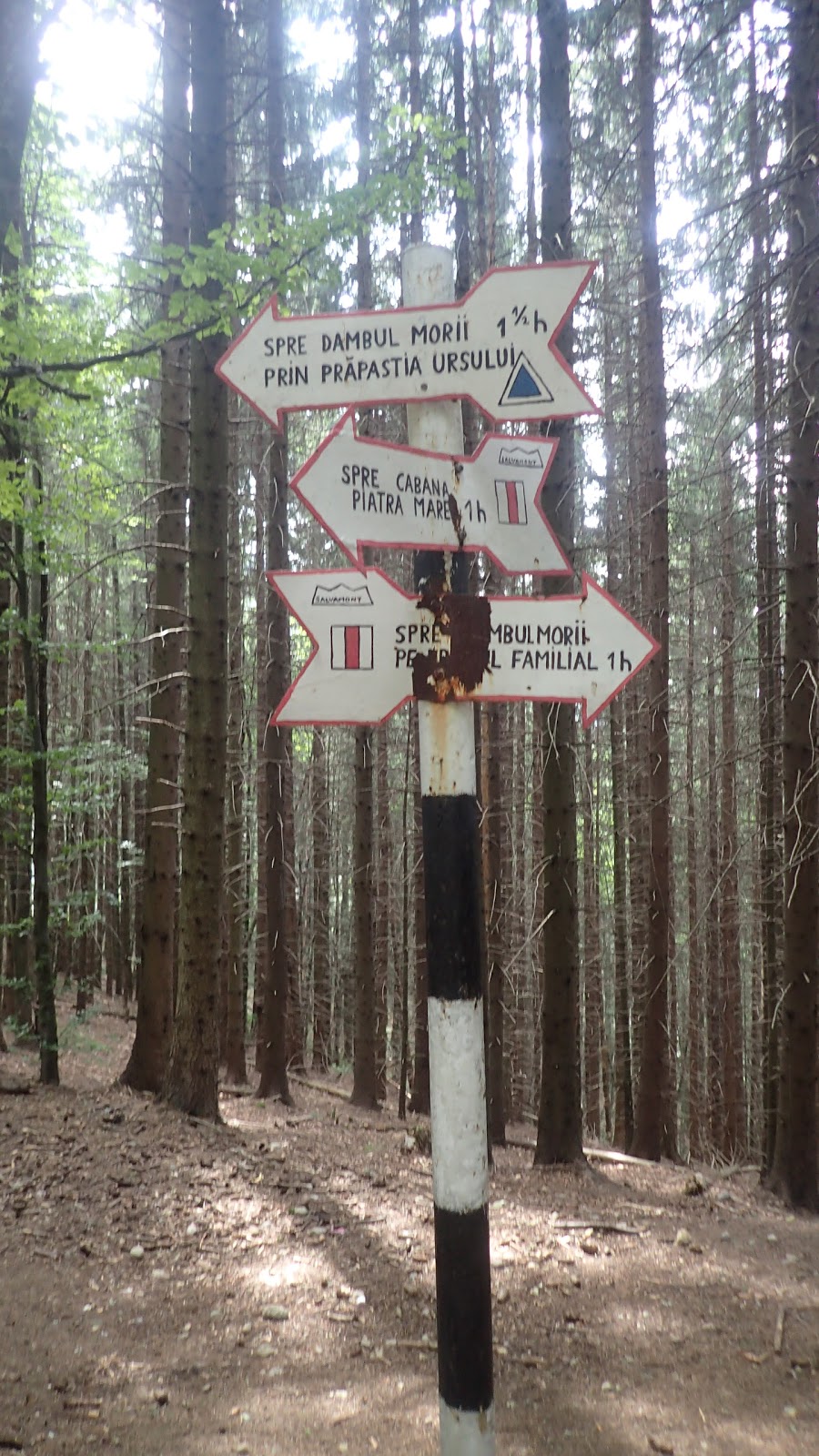 Wikiloc | Timisu de Jos Cañón de las Siete Escaleras y Barranco del Oso ...