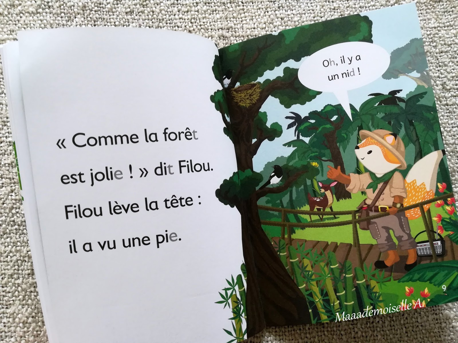 Maaademoiselle A.: || Sélection de livres de première lecture ...