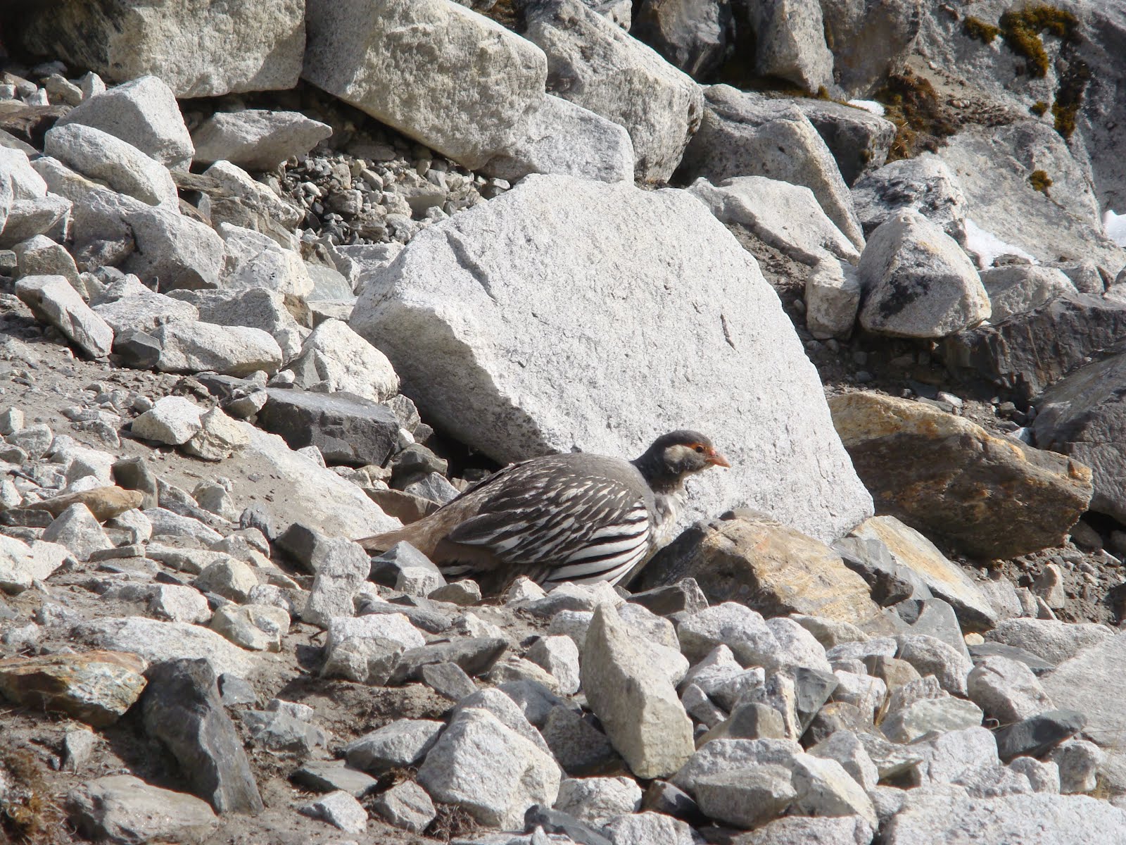 A Protest of Romance: Everest Calling - Gorak Shep to Everest Base Camp