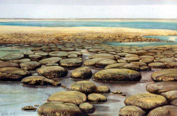 Mundo Pré-Histórico: Éon Proterozoico