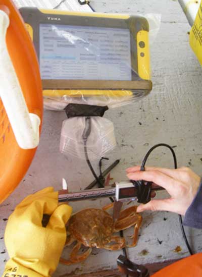 Vitality: heuristic assessing impairment and predicting survival and ...