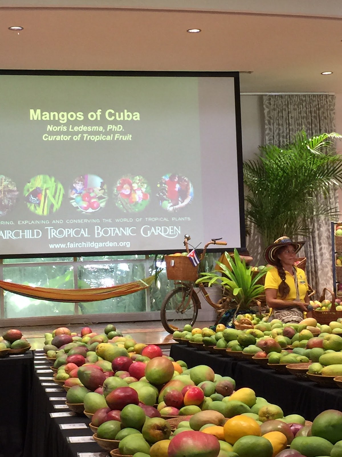 Capt. Brian's Observations On The Water: Mangos of Cuba at Fairchild ...
