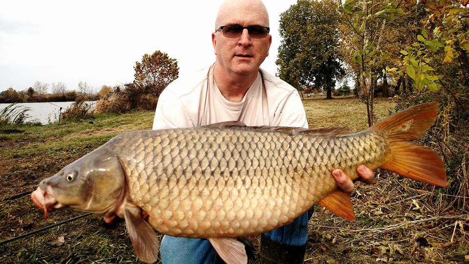 Michigan Carp Fishing Blog: small mouth buffalo