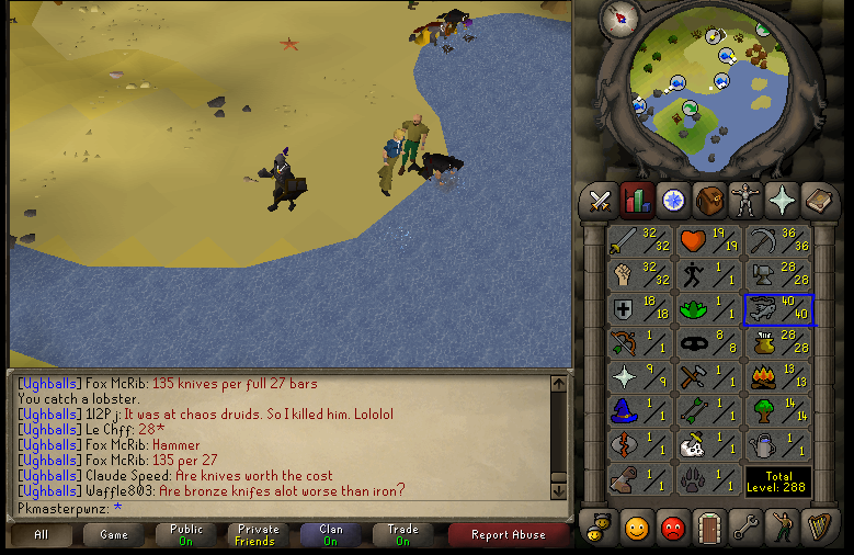 The RuneScape 2007 Experience