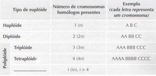 GENETICA ON LINE: AULA 4 - ODONTOLOGIA - ANOMALIAS CROMOSSÔMICAS ...