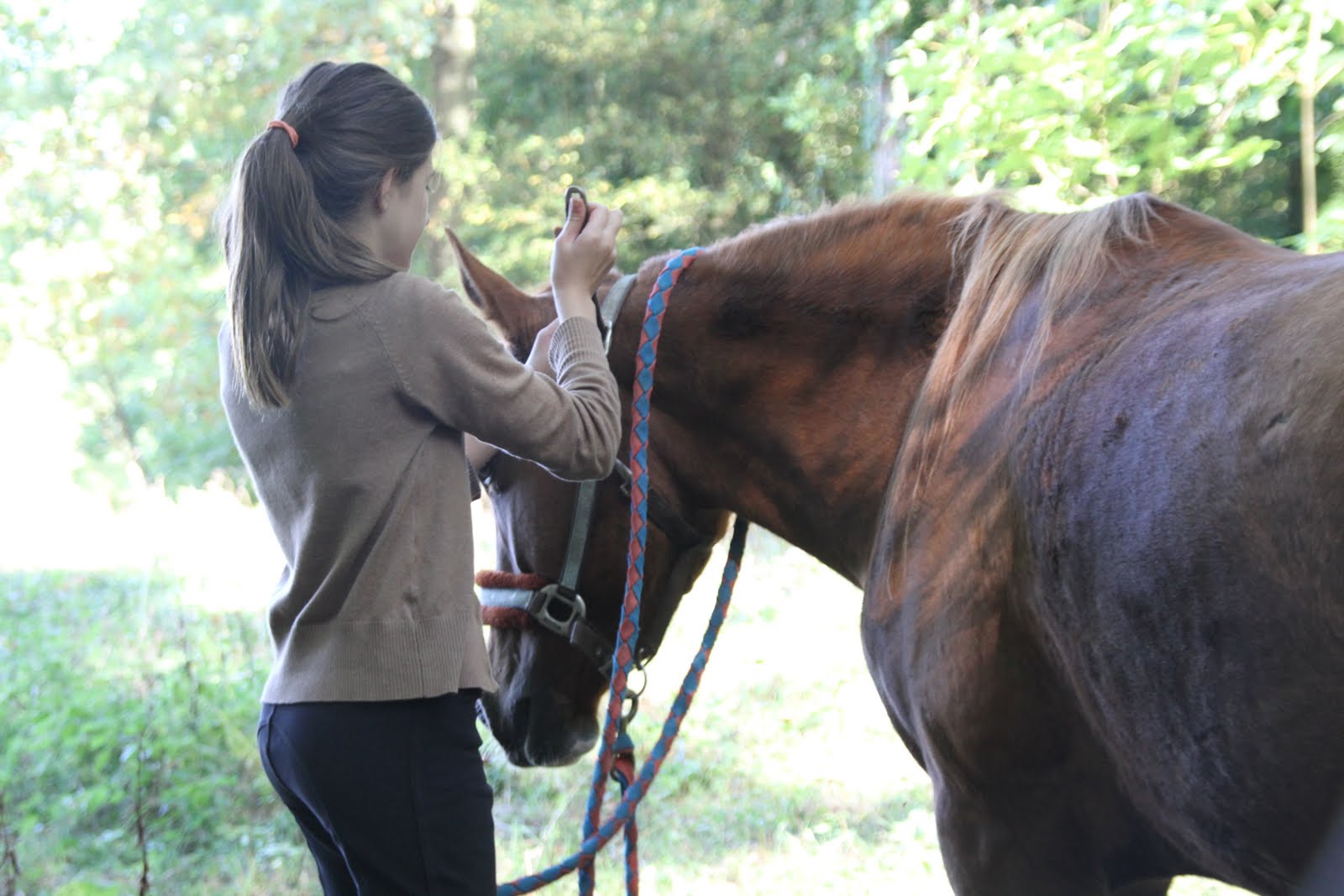 Christian Marechal Shiatsu