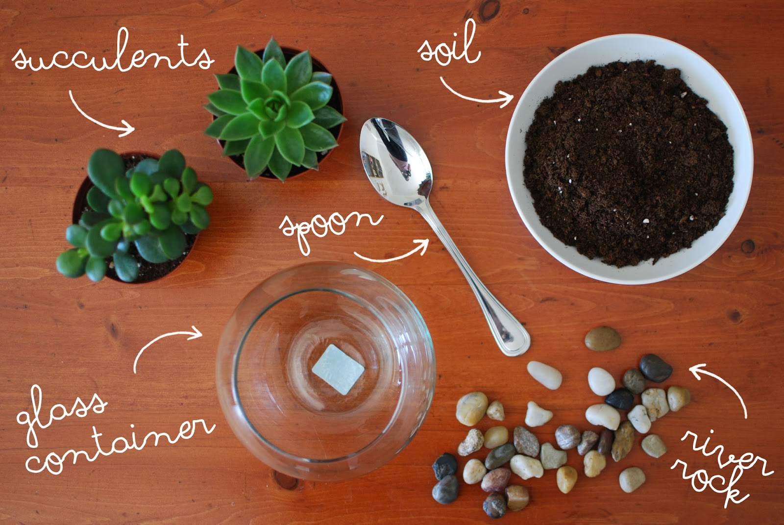 DIY: PLANTING SUCCULENTS / what emily said