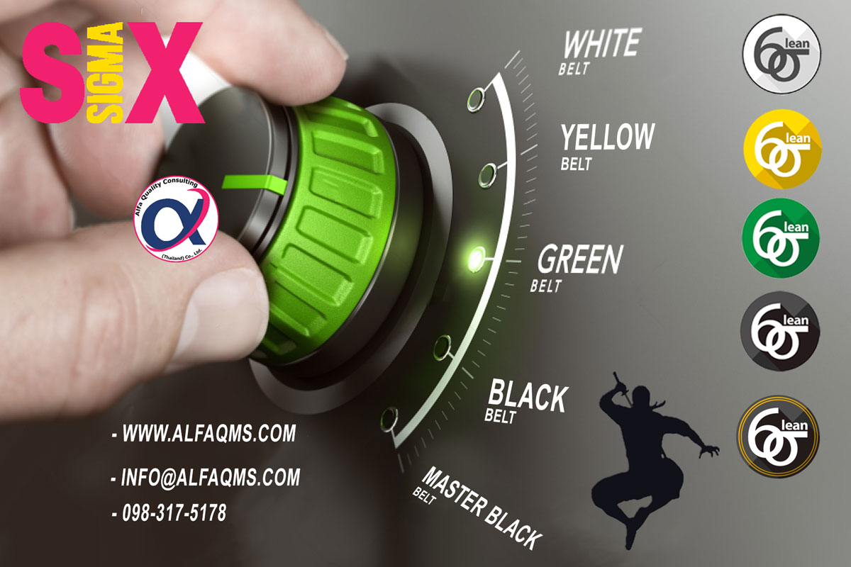 LEAN SIX SIGMA BUNDLE PACK TRAINING CLASSES - Alfa Quality Consulting