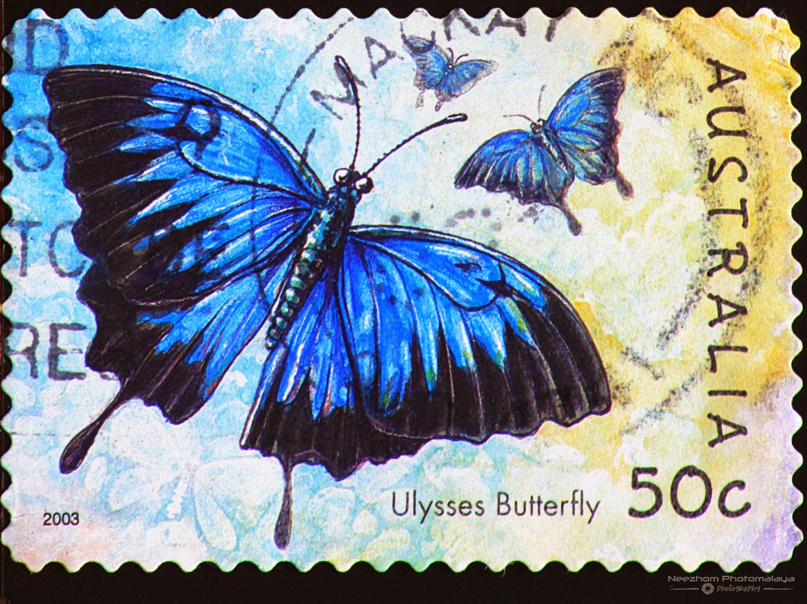 Australia+2003+Bugs+and+Butterflies+stamp+-+Ulysses+Butterfly+50+c.jpg ...