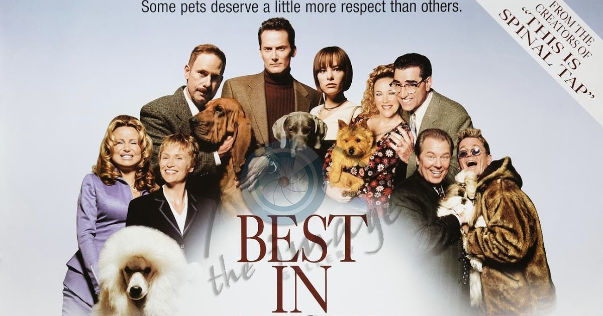 Best In Show Poster