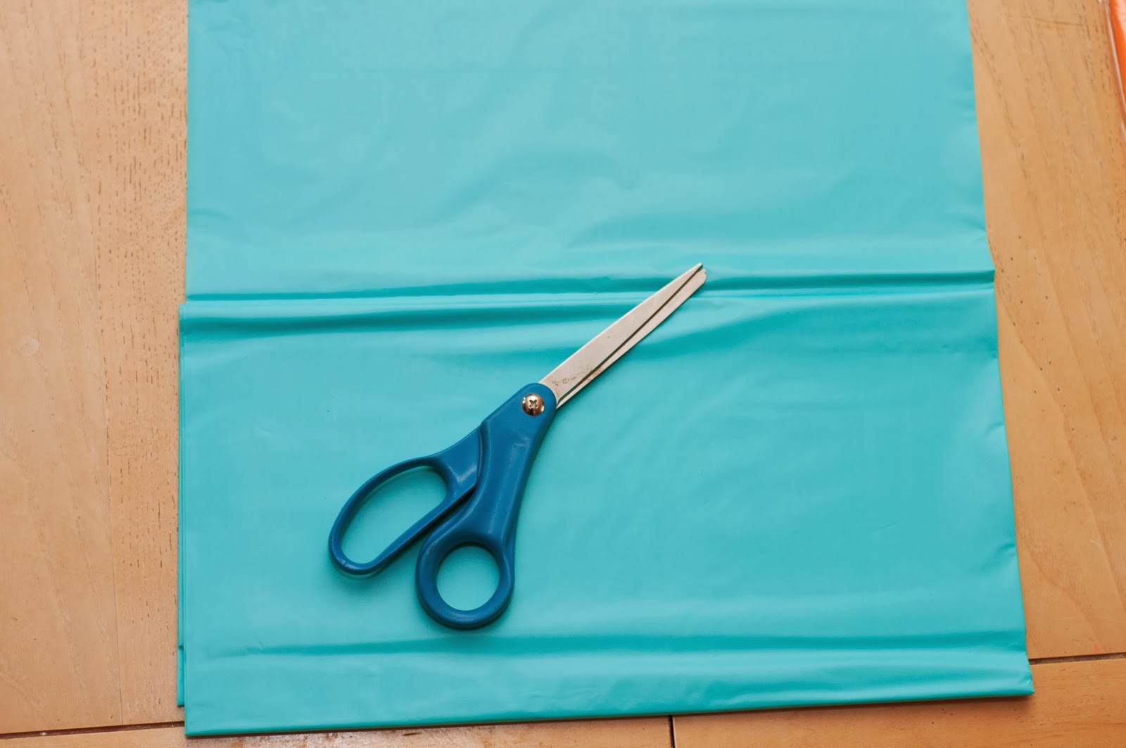 Tia Stout Photography: DIY photo backdrop for $3