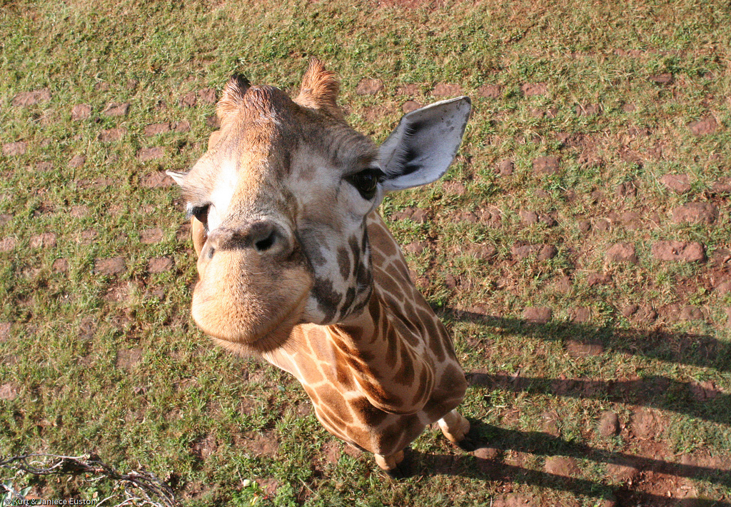 Los tipos de ángulos en las fotografías ~ Delfi03