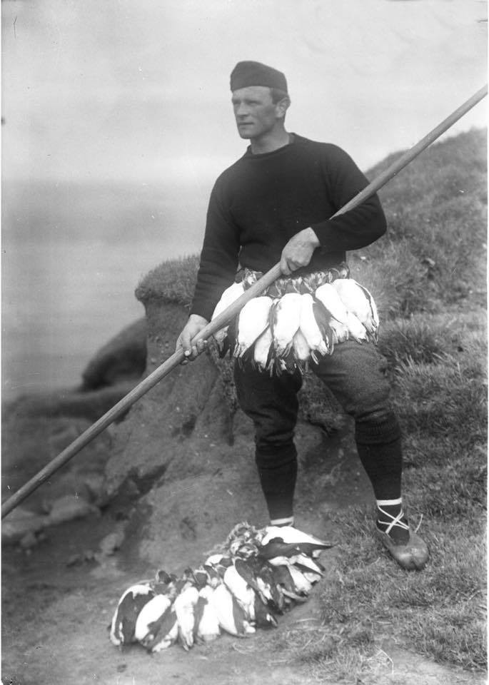 Terrierman's Daily Dose: Hunting Puffins with Gordon Ramsey