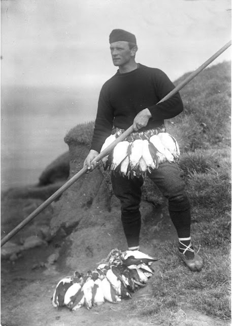 Terrierman's Daily Dose: Hunting Puffins with Gordon Ramsey