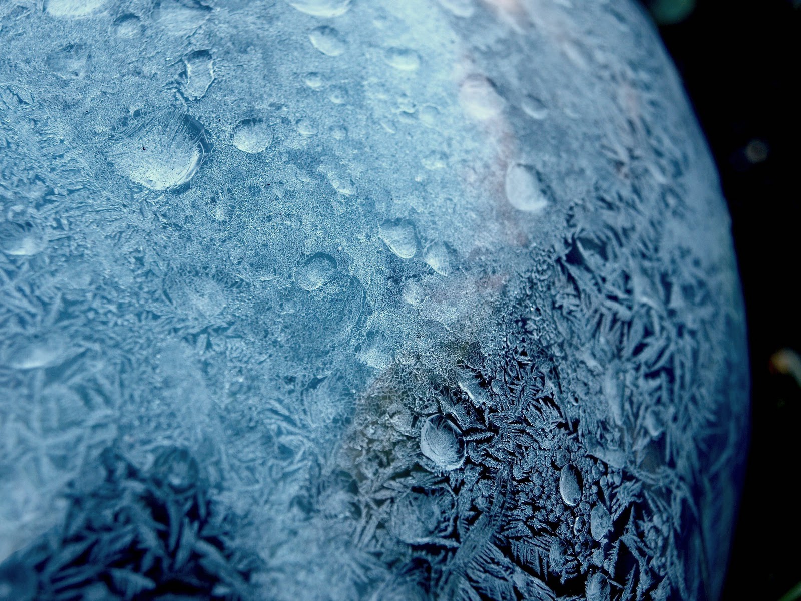 Mark's Veg Plot: Frost patterns - Nature's own artform