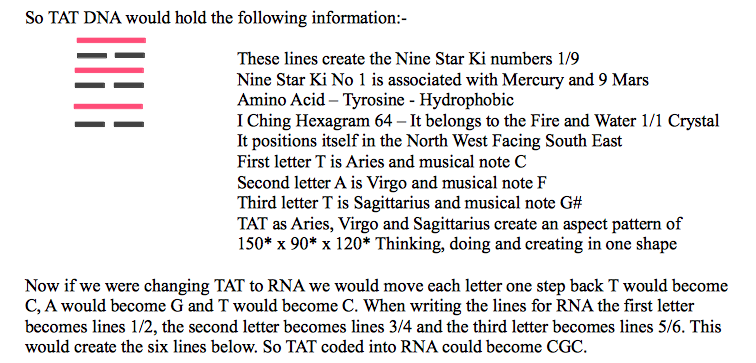 The Ramblings of The Rose: Map 718 I Ching lines to DNA and RNA