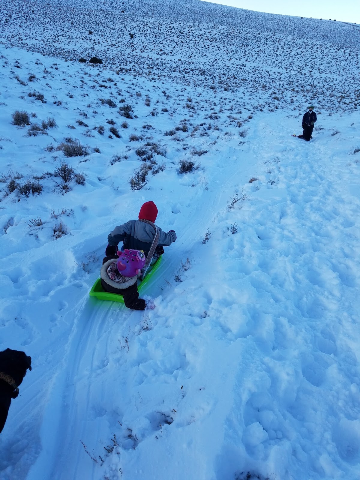Desert Survivor: Sledding and Skiing after the Storm