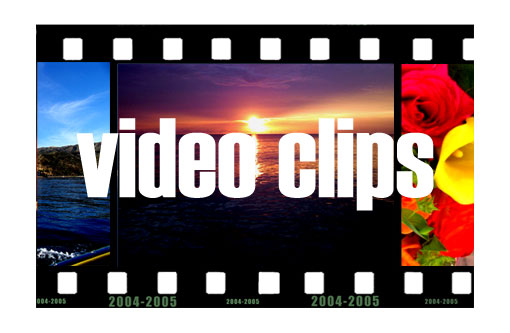 Video Clips: Video Clips