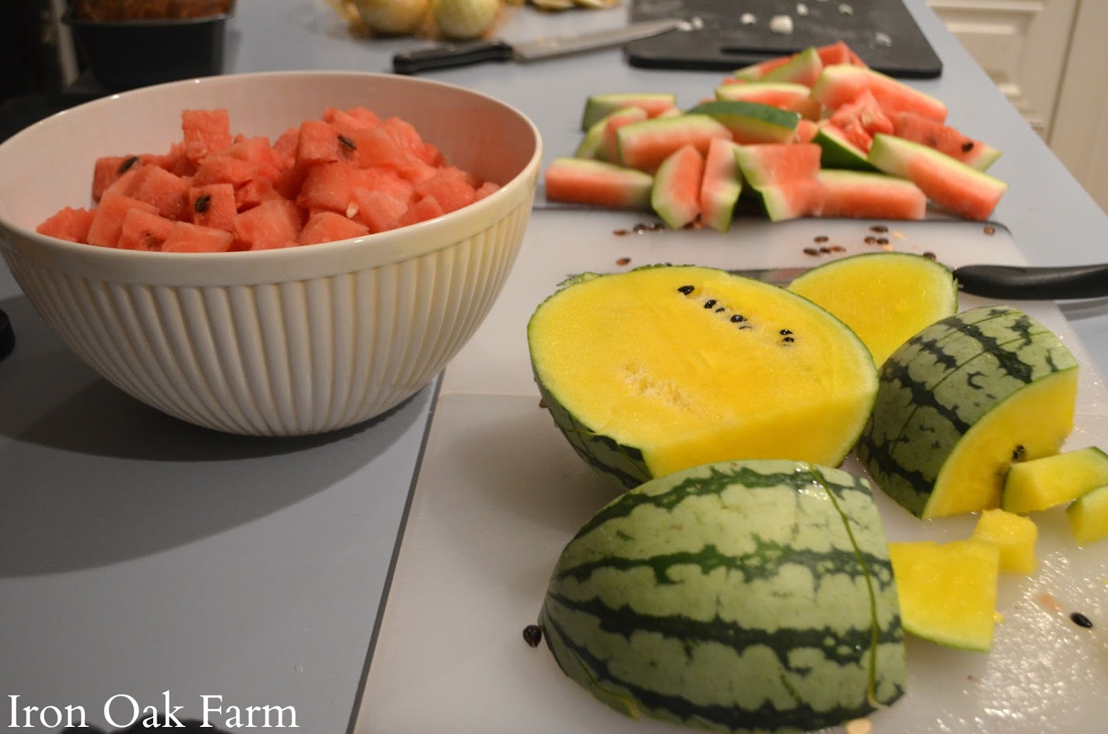 Iron Oak Farm: Watermelon Tasting