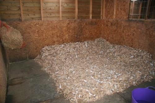 Horse Life and Love: Bedding