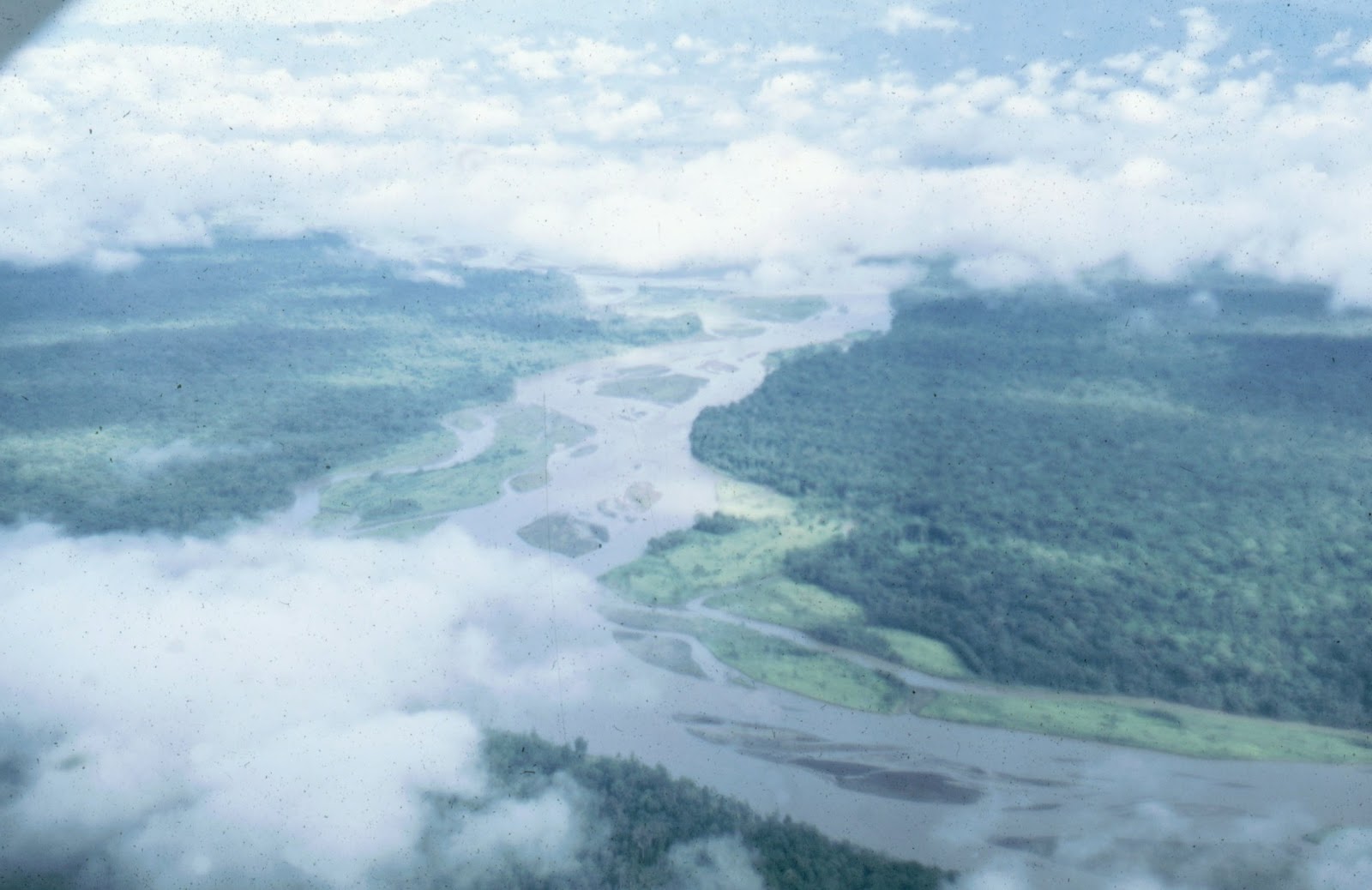 I Brake for Wildflowers!: Papua New Guinea 1. Lae and Bulolo