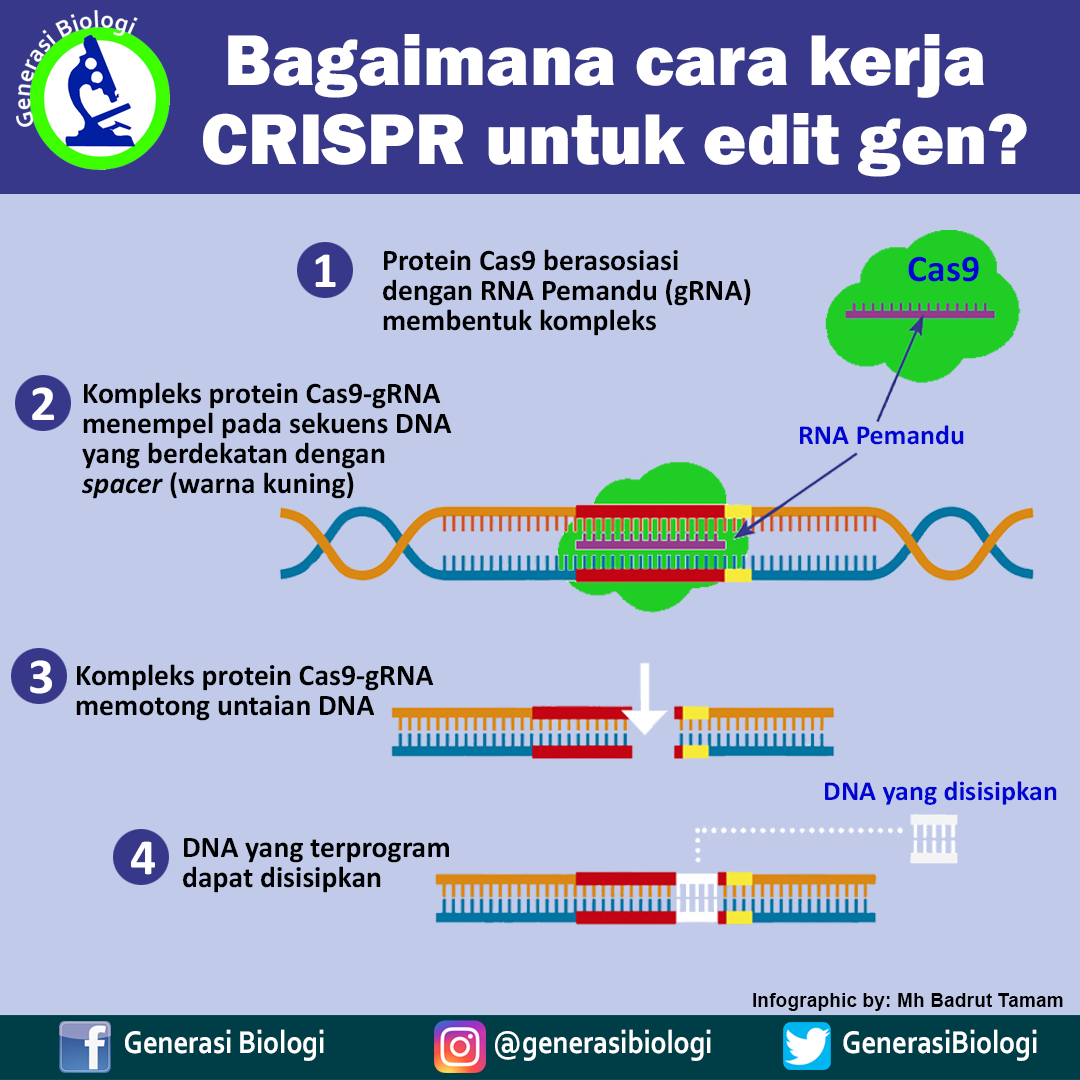 Cara Kerja CRISPR-Cas9 untuk Edit Gen - Biologizone