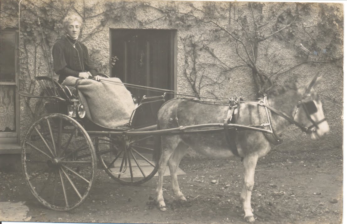 History Links: A Tale of Four Mugs - Jean Wray