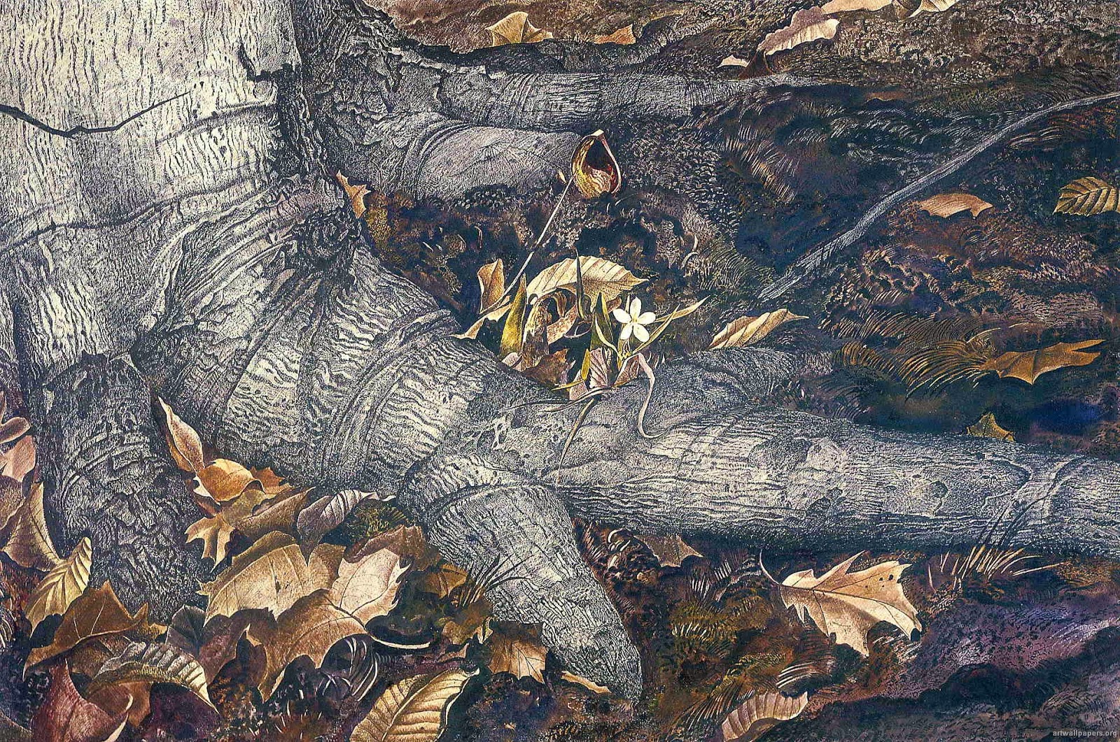 Bare Trees: Andrew Wyeth