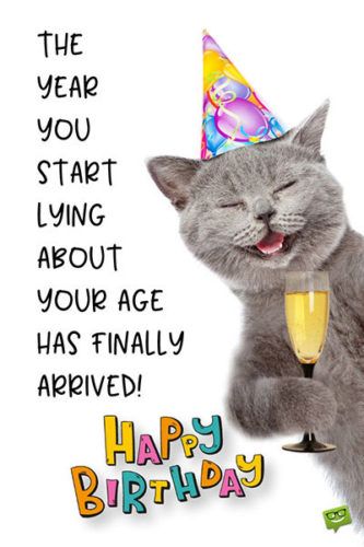 230+ Funny Happy Birthday Wishes (2020) Humorous Quotes, Messages ...