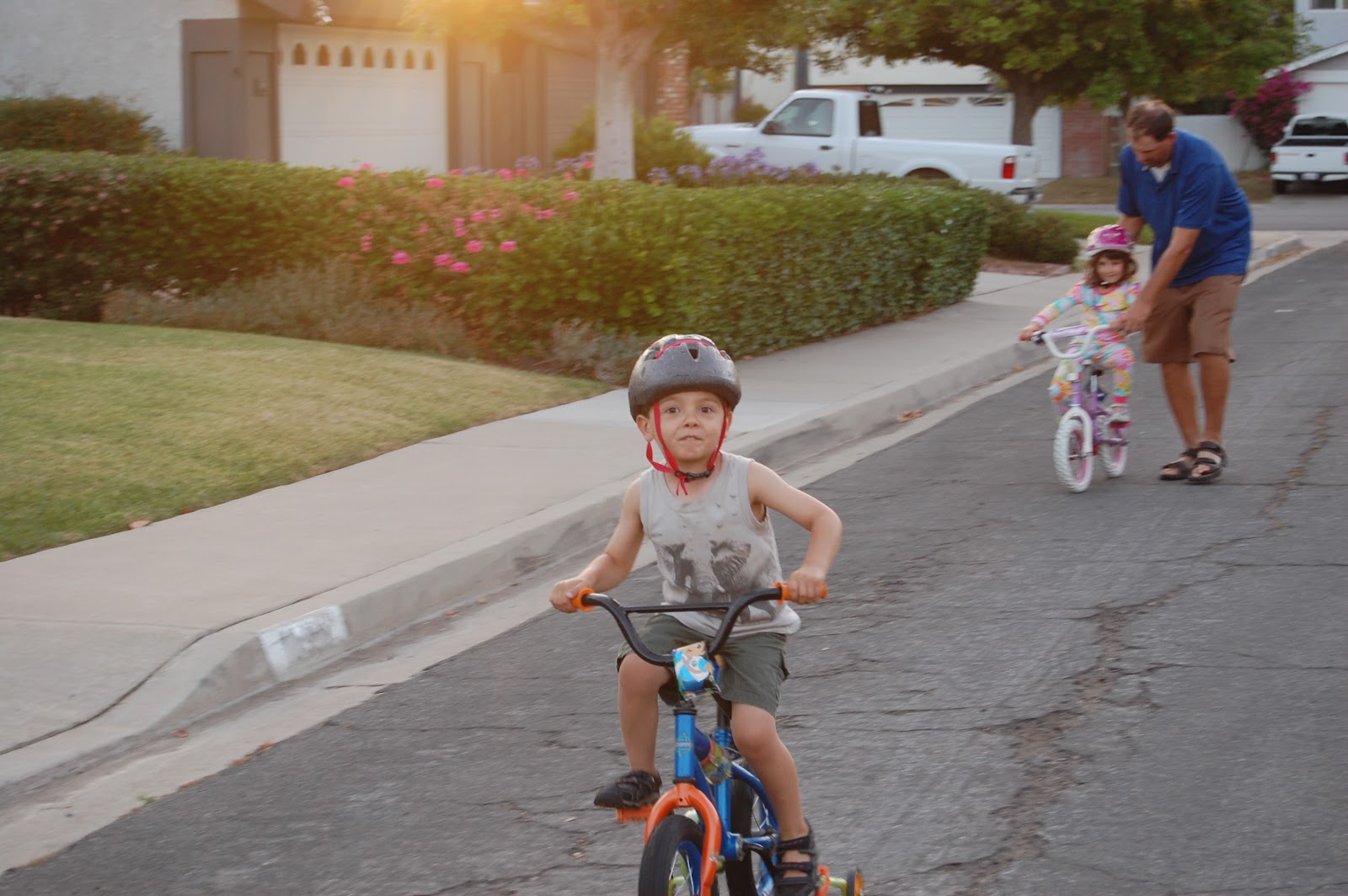 Little Moos and Mommy Too...