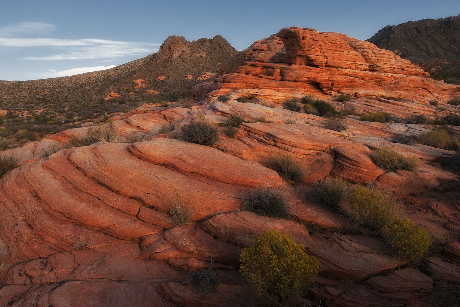 Southern Nevada Outside: Muddy Mountains Wilderness