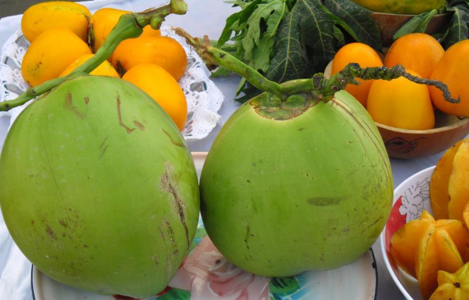 TOCACHE Online: Galeria Fotografica: TOCACHE en imagenes