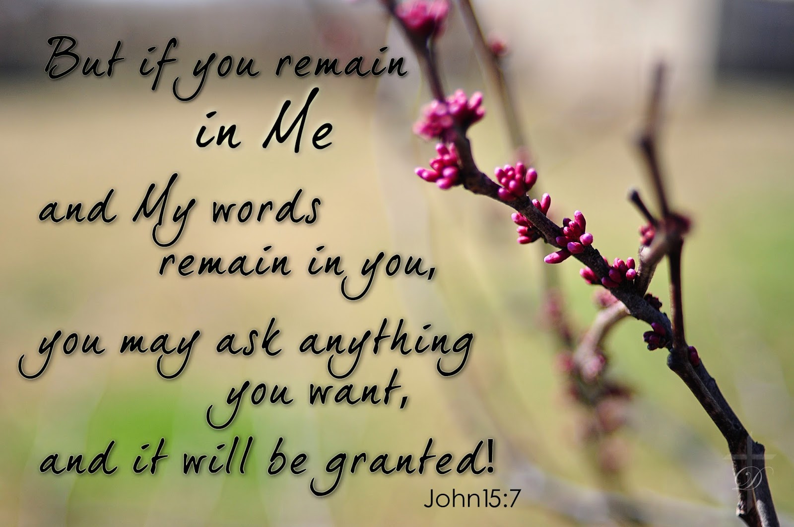 Verse of the day - John 15:4,5, 7-10