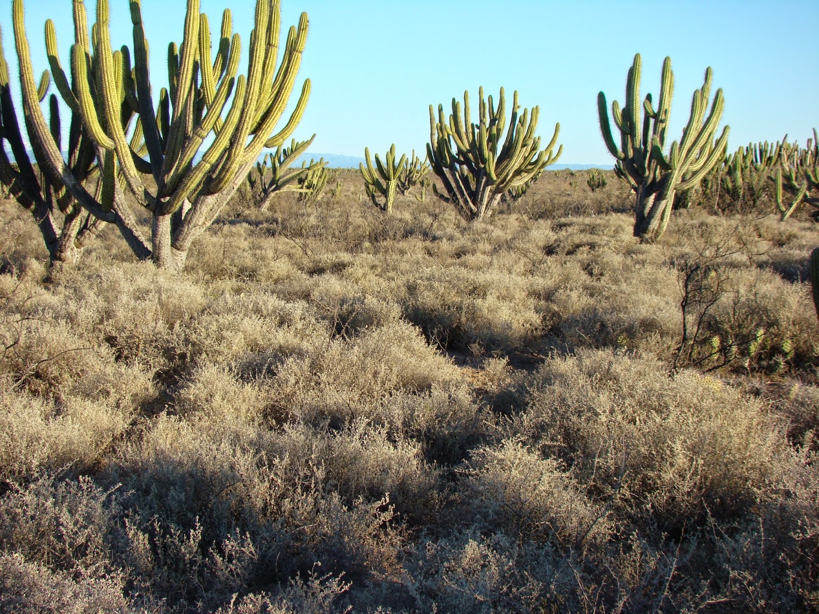 CON NUESTRO PLANETA A CUESTAS: ECOSISTEMAS TERRESTRES DE COLOMBIA