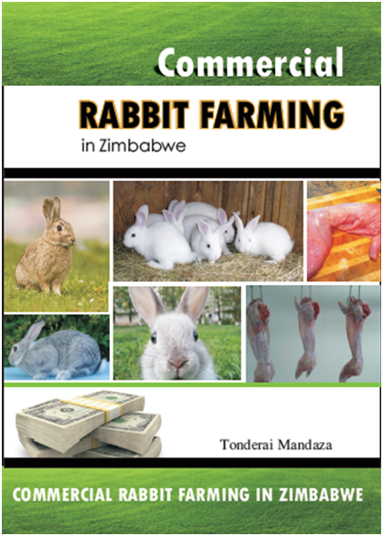 Commercial Rabbit Farming in Zimbabwe ~ LeVision Consulting Africa
