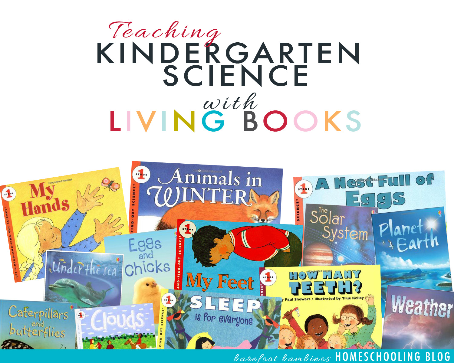 Life-Schooling: A blog about Homeschooling and Self-Directed Learning ...