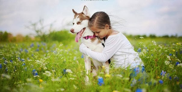 Bahal Sara: best pictures of human and animals friendship