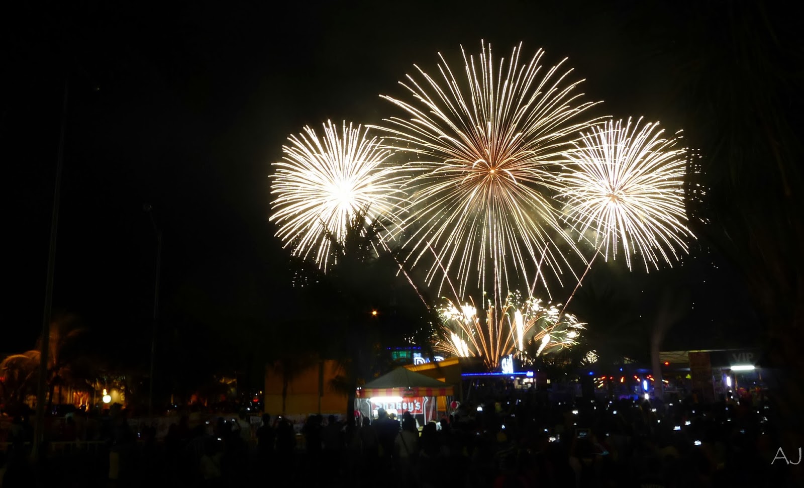 Beauty Beat Manila: 5th Philippine Pyromusical International Firework ...