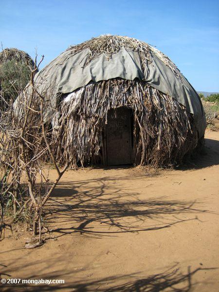 Sancara - Blog sull'Africa: Popoli d'Africa: Turkana