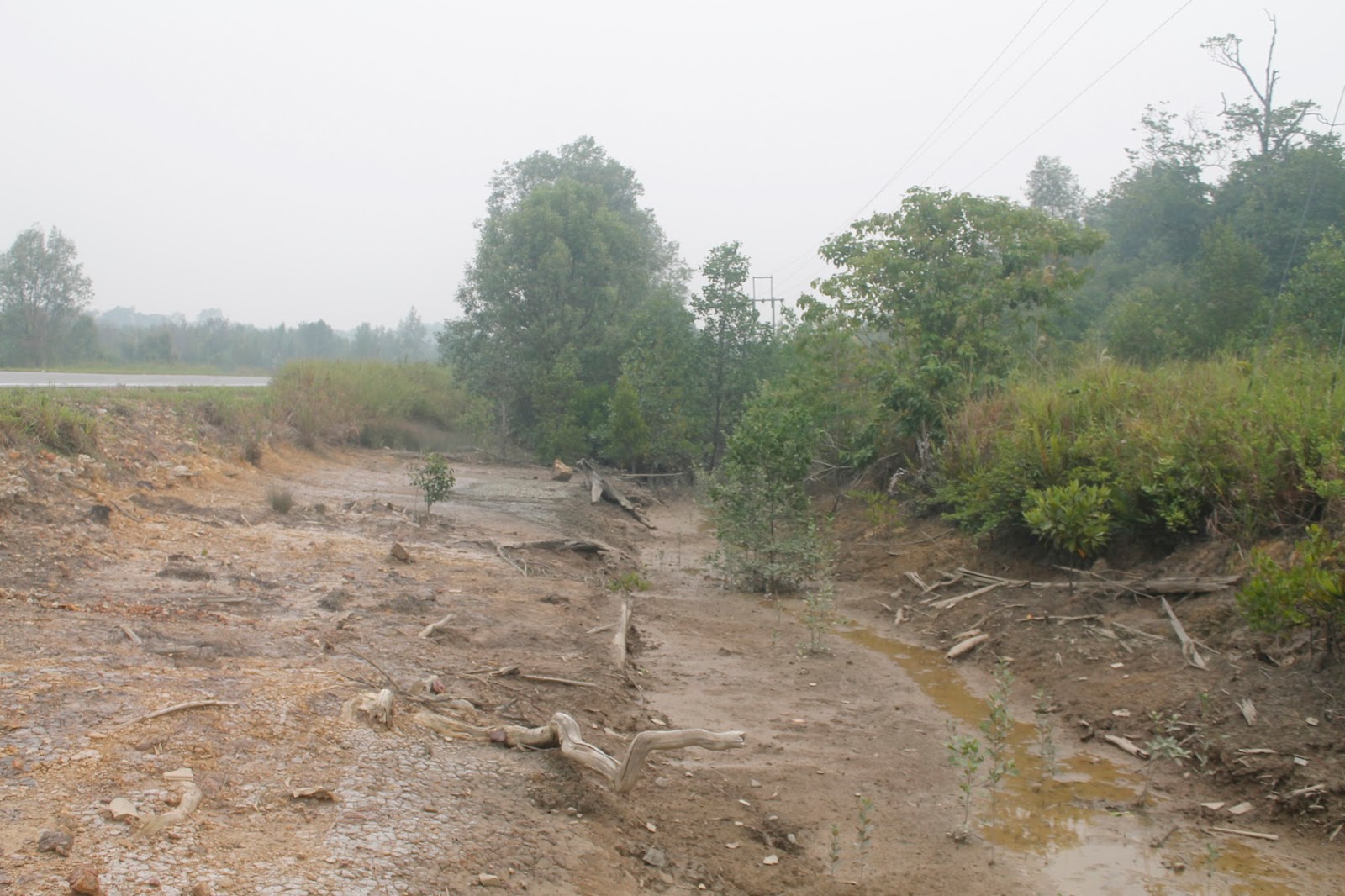 #13 WORDLESS WEDNESDAY - BUNGA,ALUR DAN JALAN - AZLAN RUMADI