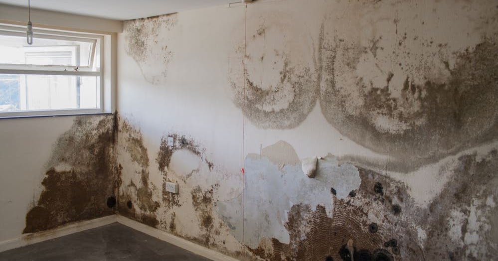 Different sources of damp in a building - Engineering TiCh