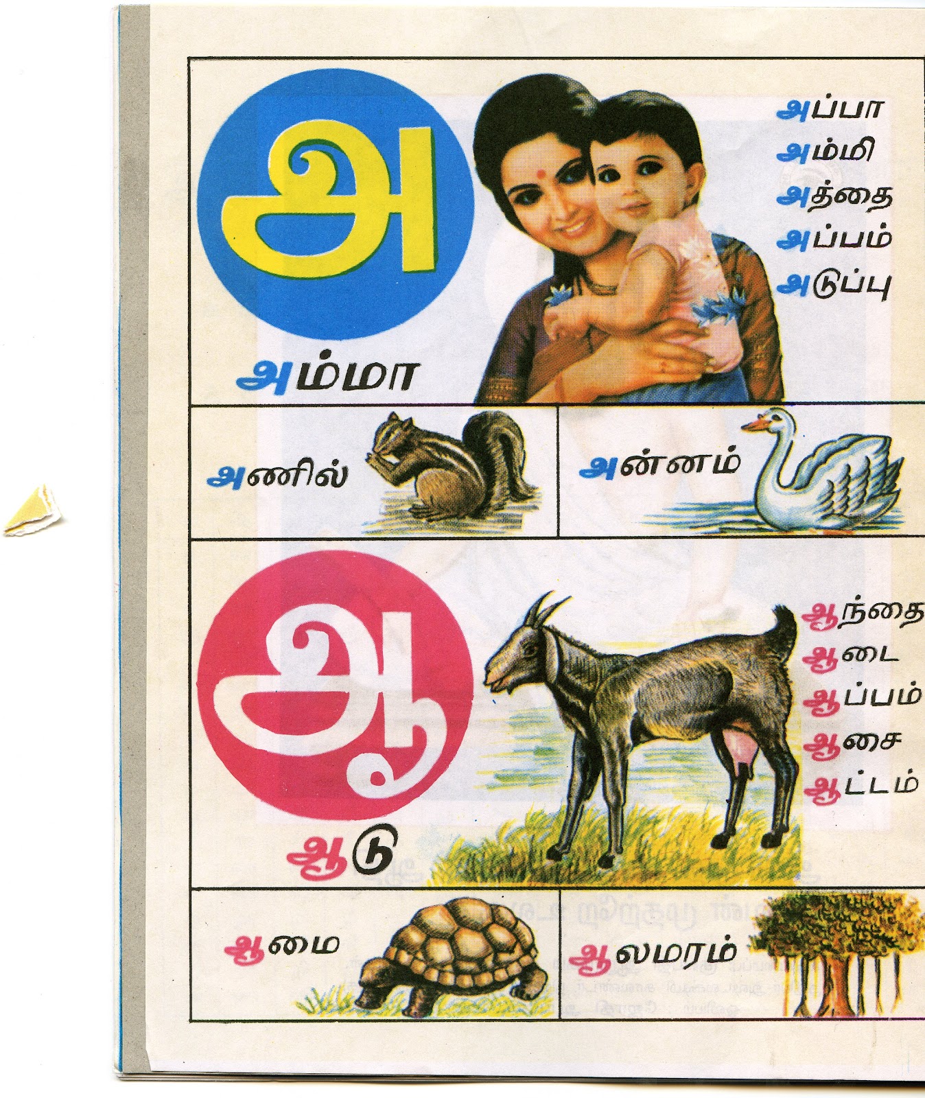 Tamil Alphabets tamil-alphabets