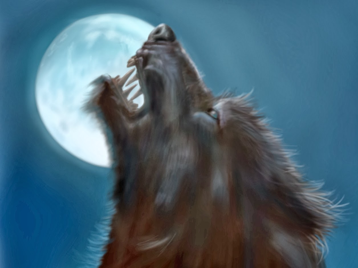 The philosophical ramblings of an archaeologist