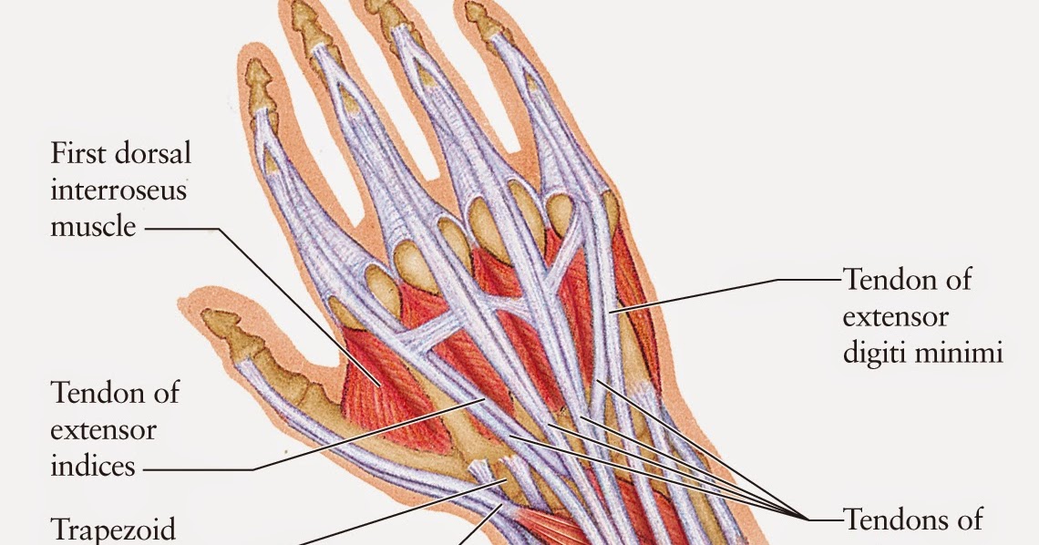 Untitled at emaze Presentation