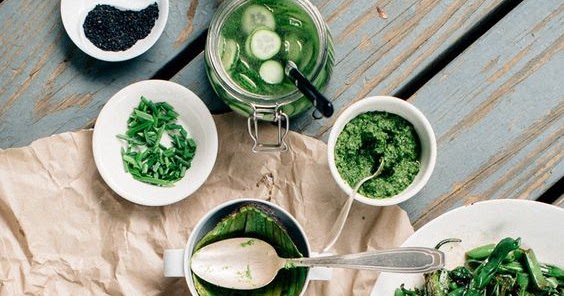 Earthy Feast - Quick and Easy Recipes