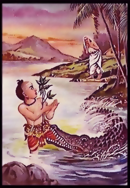 HINDU RITUALS AND ROUTINES...: Sri Adi Sankaracharya’s Life Story
