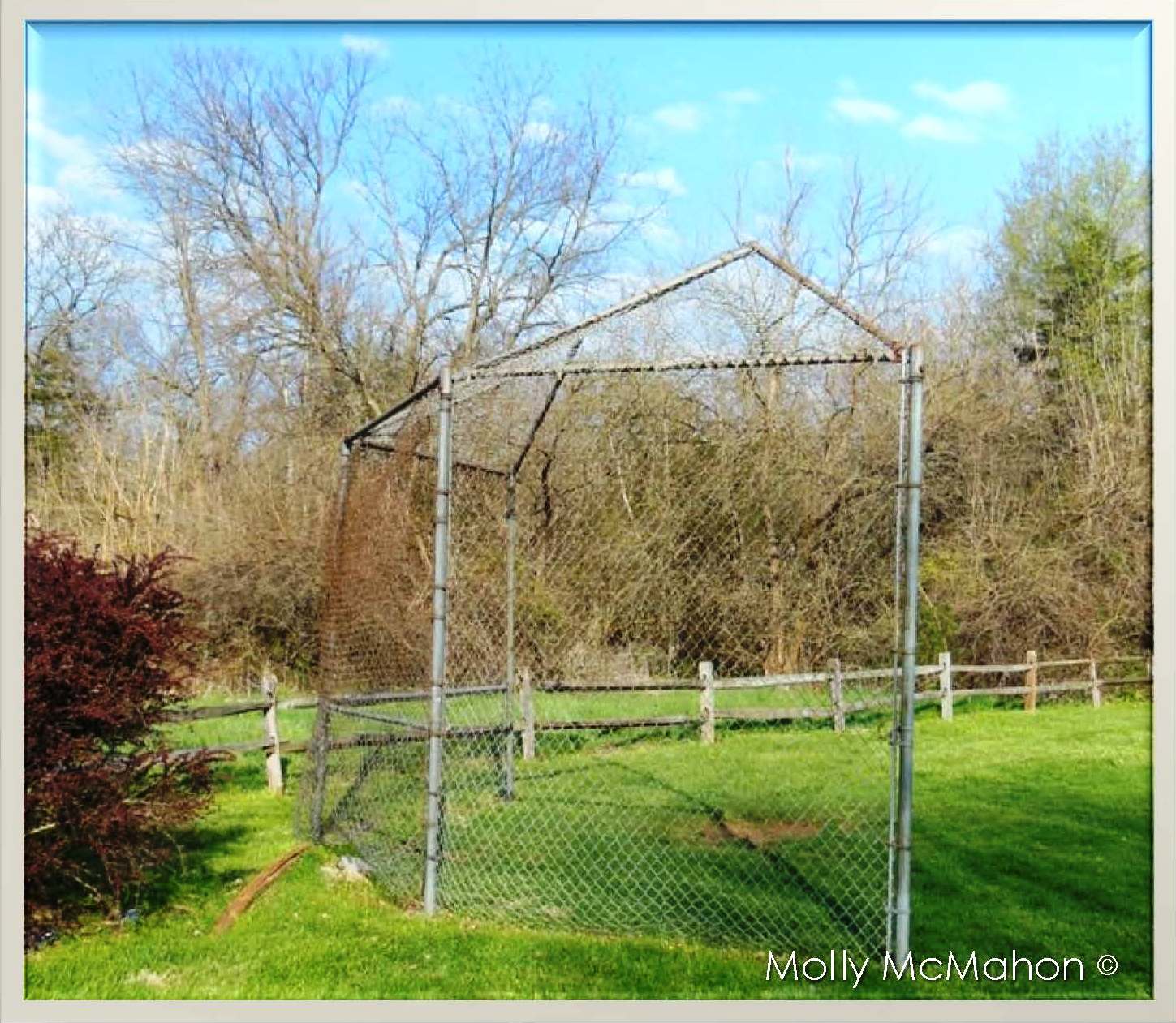 Lessons by Molly: Shapes in the Environment Photos